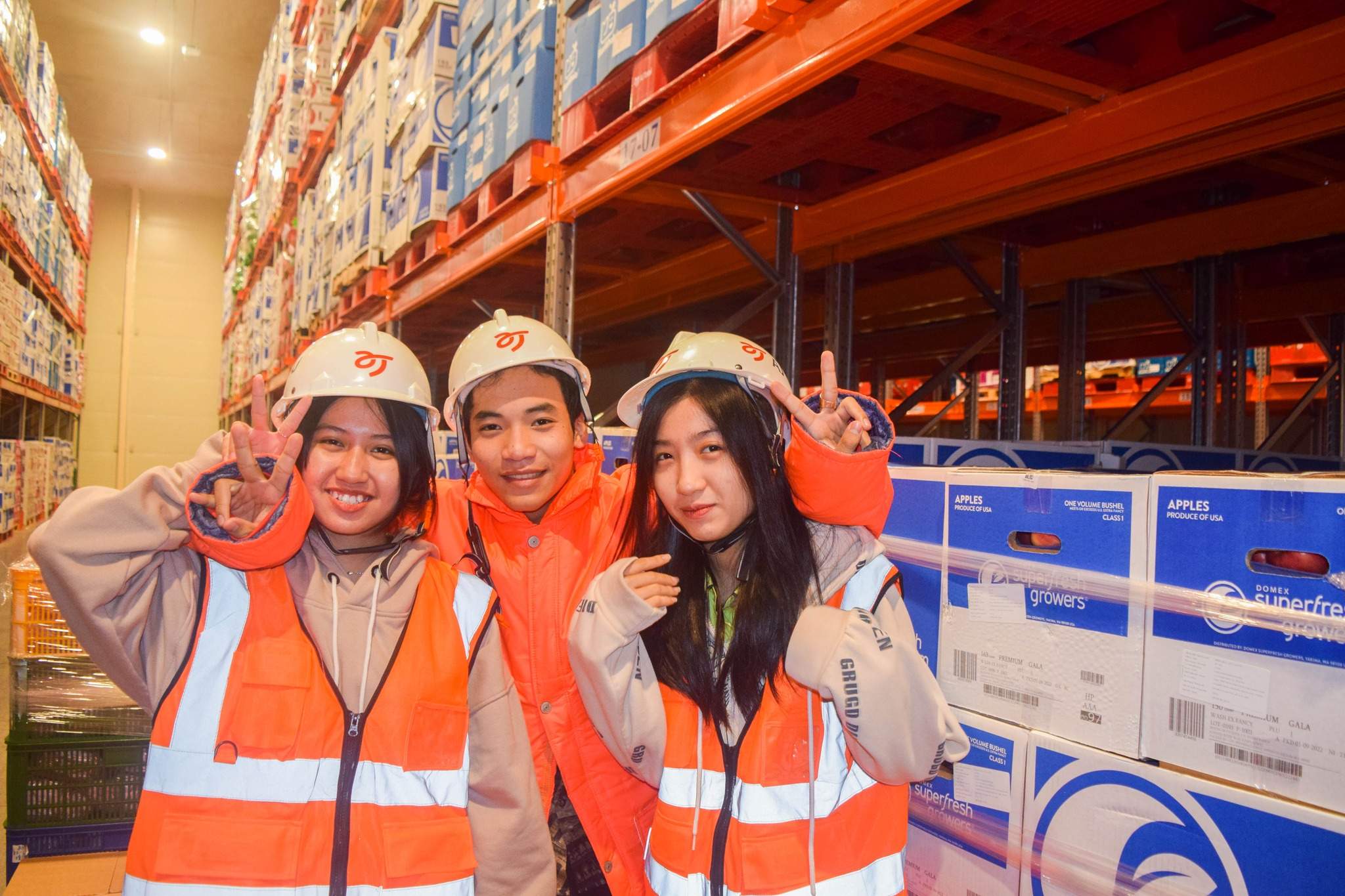 HOTEC và VIETNAM SHIPPING GAZETTE tổ chức thành công chương trình Study ...